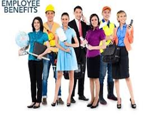 Home - Optima Solution Partner